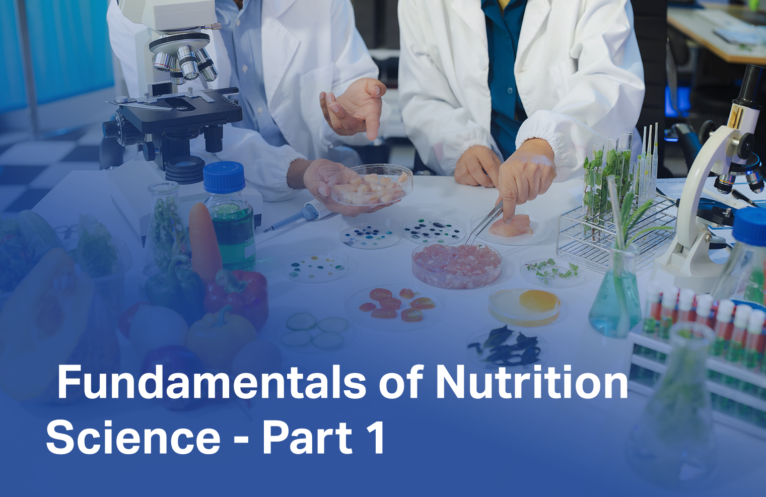 Fundamentals of Nutrition Science - Part 1 | E3melbusiness Medical